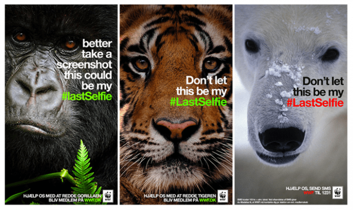 Contemporary examples of innovative marketing campaigns | Smart Insights