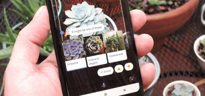 Google Lens and the future of Visual Search | Smart Insights